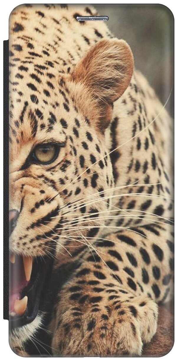 Чехол-книжка на Apple iPhone XS Max / Эпл Айфон Икс Эс Макс с рисунком "Рассерженный хищник" черный