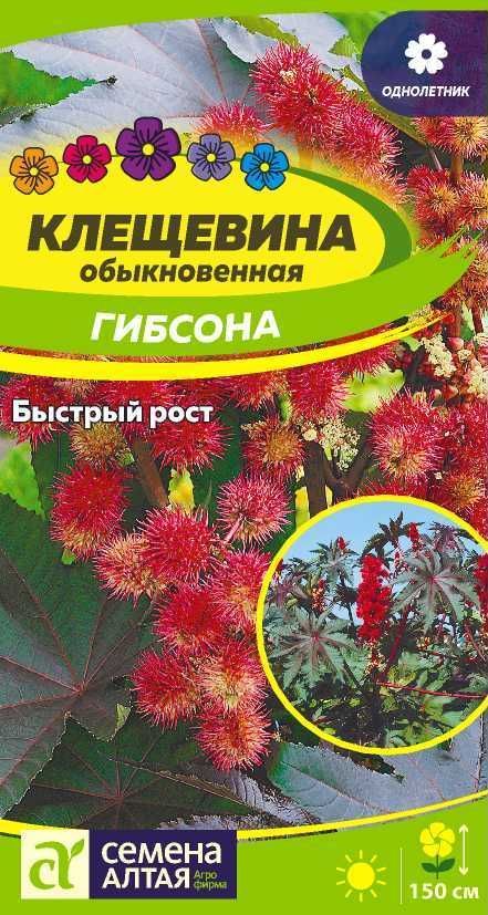Клещевина Гибсона 3 семени/ СемАлт