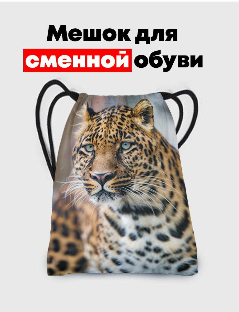 Мешок - сумка для обуви Леопард