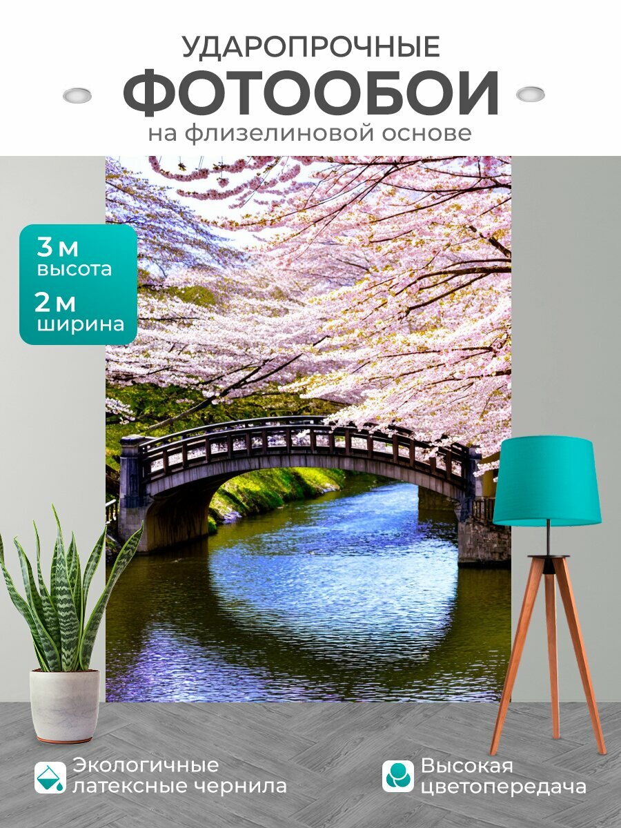 Фотообои моющиеся ударопрочные "Япония: старинный мост через реку, окруженный цветущими деревьями сакуры, создающий романтическую атмосферу весны." 200x300 см. флизелиновые на стену