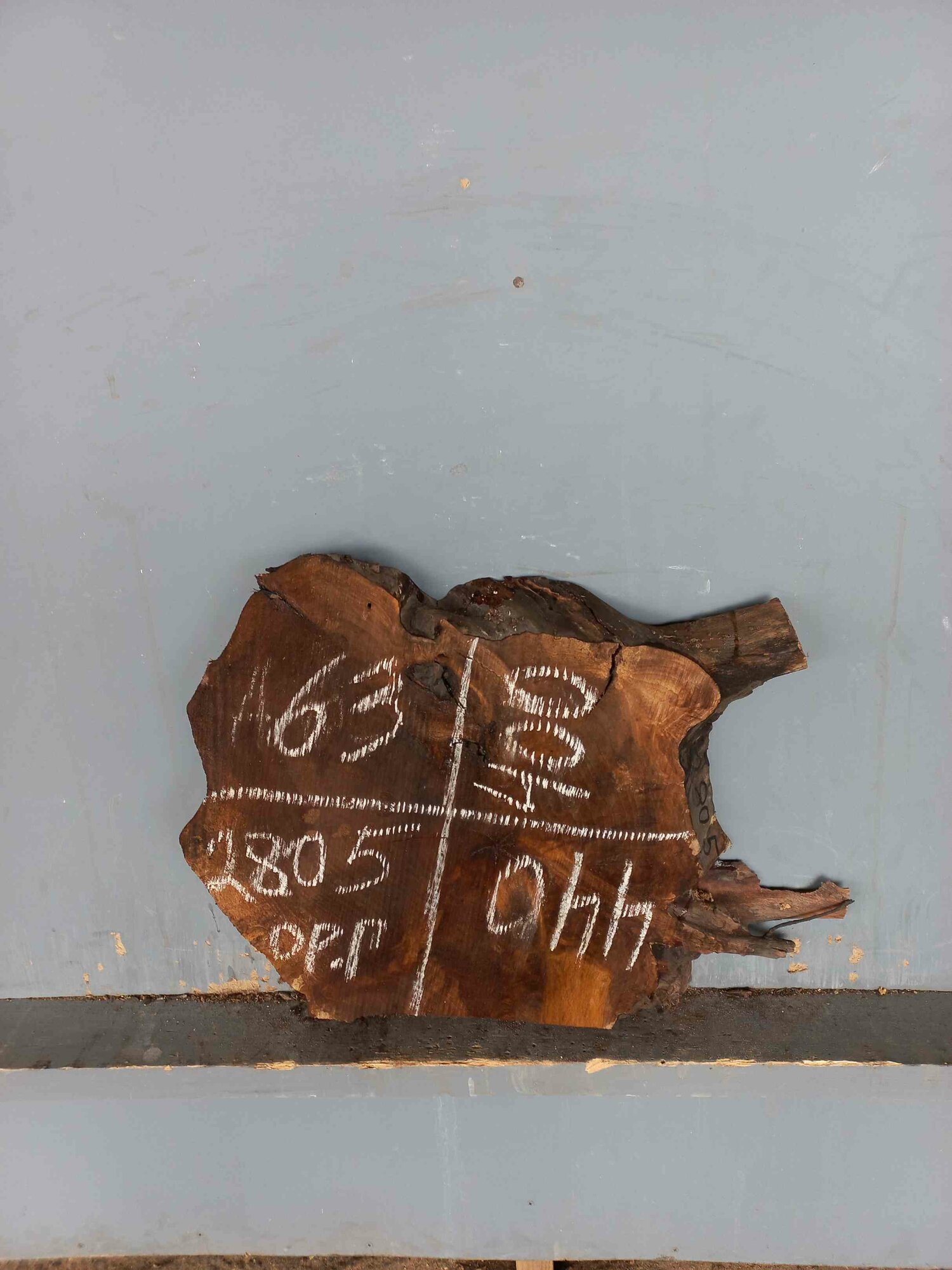 Спил торцевой ореха грецкого доклес №2805, цельный, антисептика, 6x40x44 см