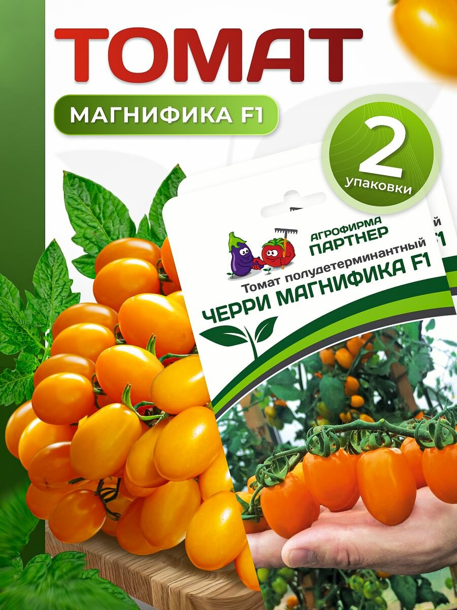 Семена томата черри Агрофирма партнер "Магнифика", для открытого и закрытого грунта