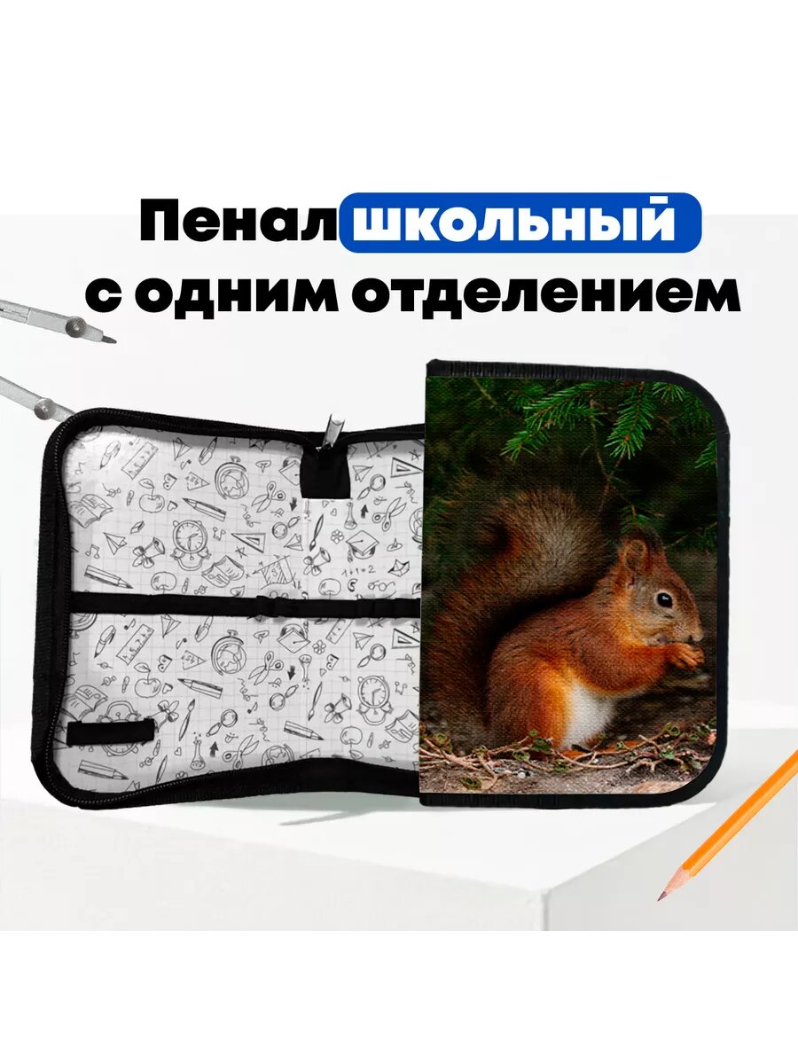 Школьный пенал Белка