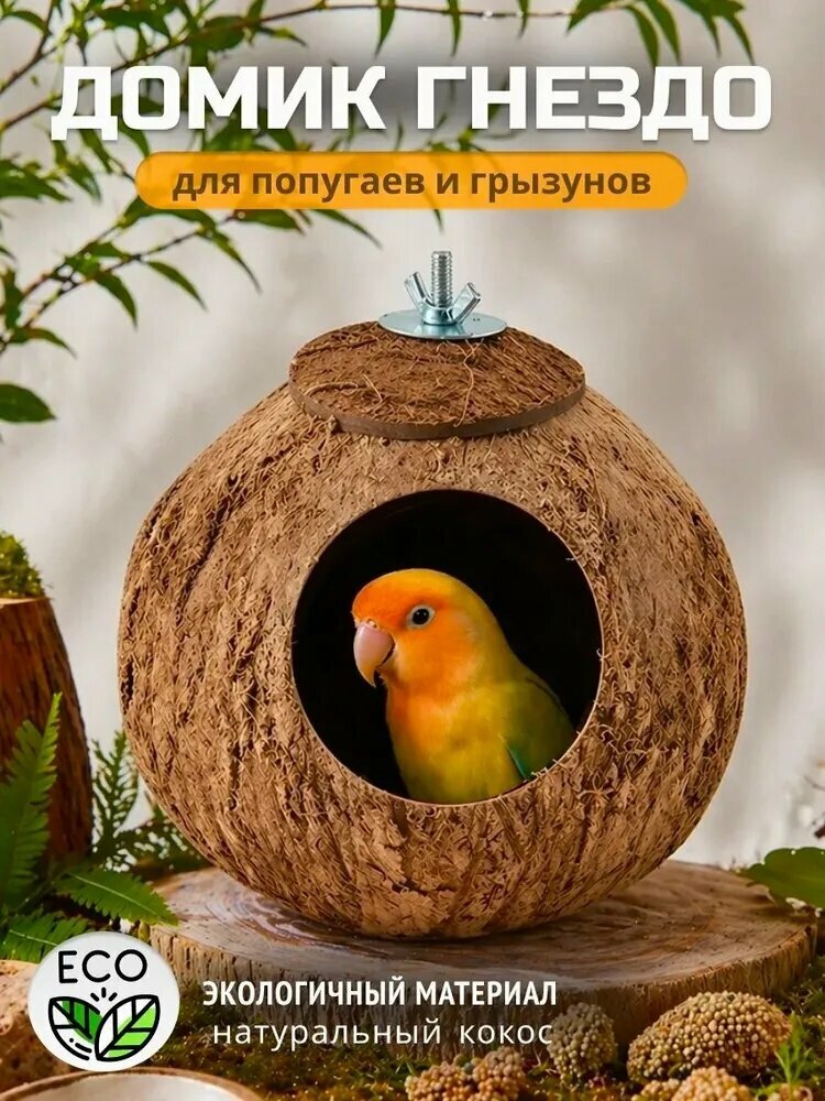 Гнездо для попугая изготовлено из натурального кокоса, диаметр кокоса: 10-13 см, 1 штука