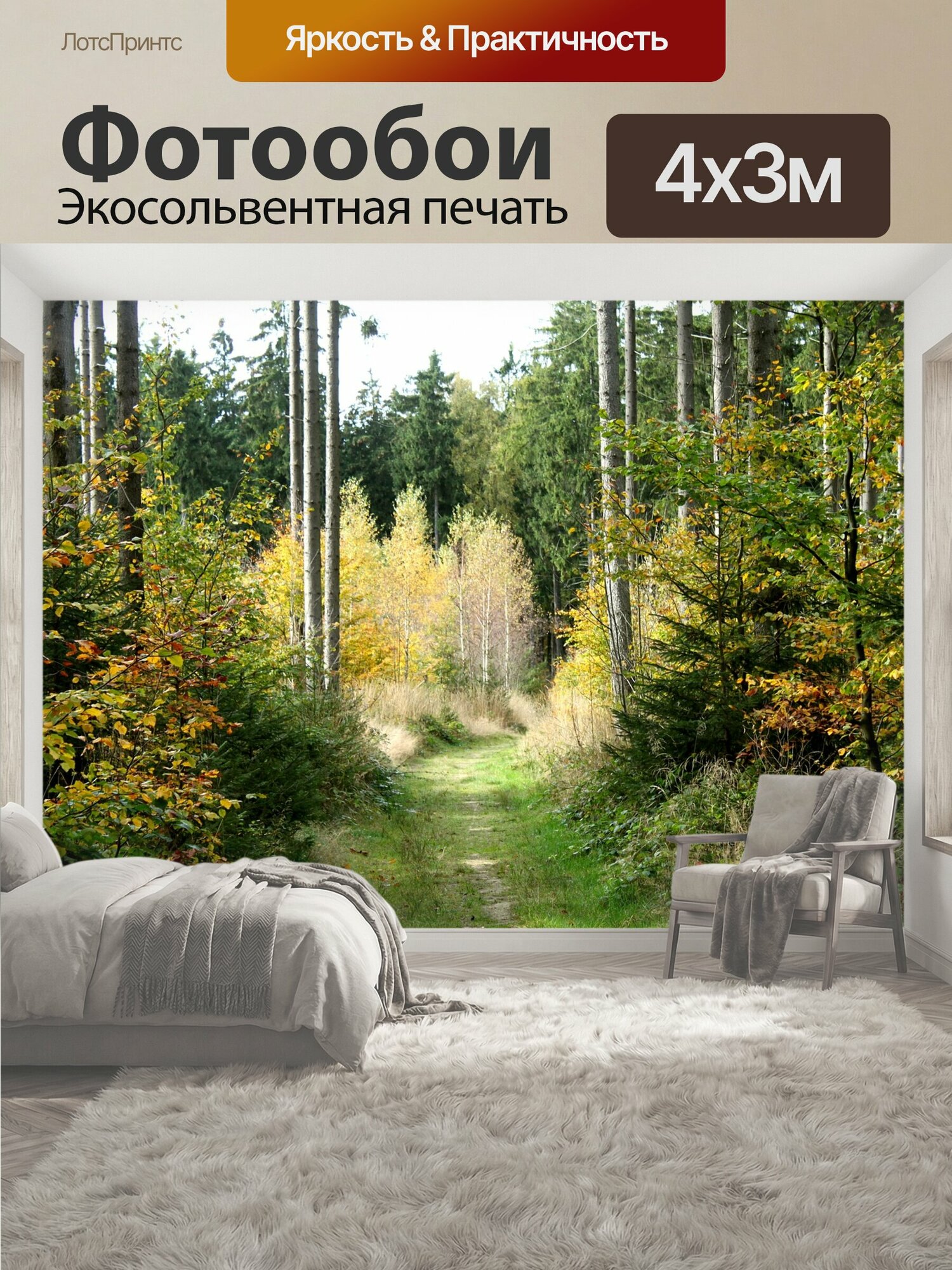 Фотообои "Лесная тропа, лес, деревья" 400x300 см. экосольвентная печать