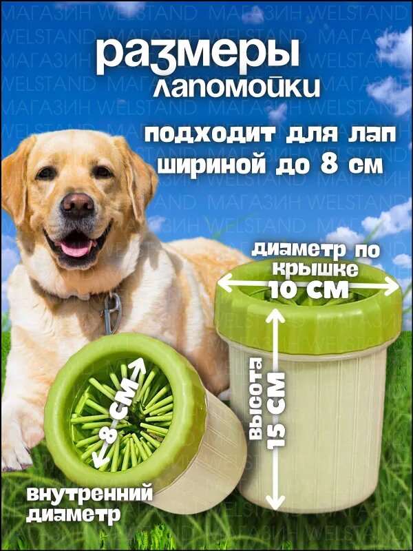 Лапомойка — фото 1