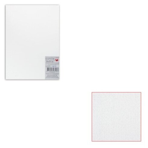 Картон белый грунтованный для живописи, 25х35 см, двусторонний, толщина 2 мм, акриловый грунт (цена за 1 ед. товара)