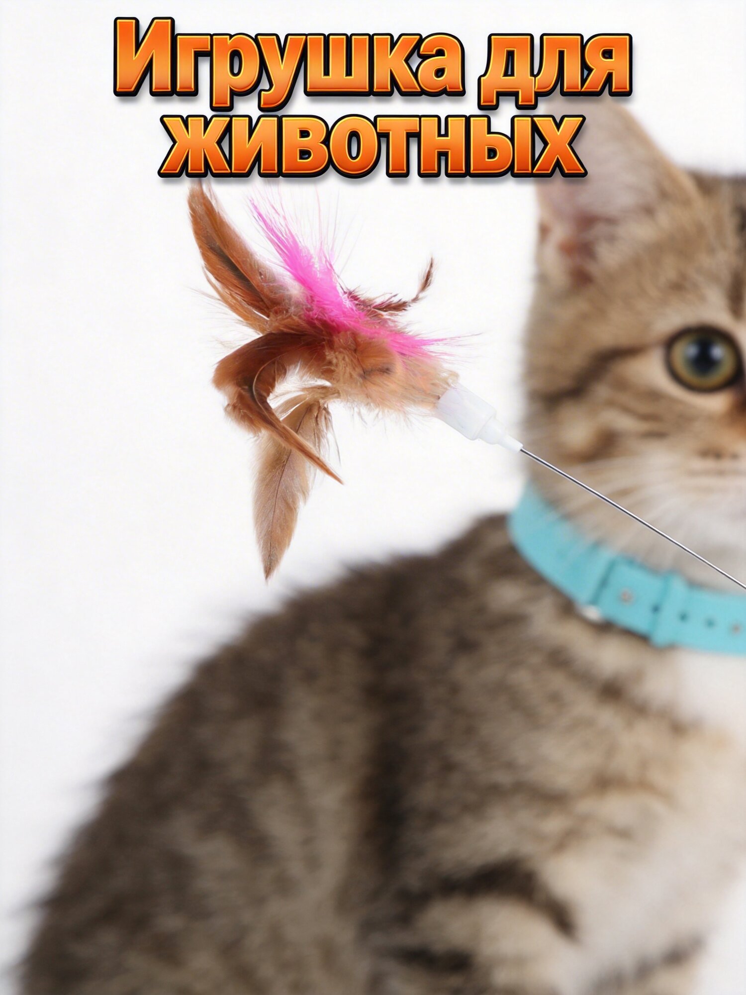 Смешной Катушка Для Кошек Интерактивная Игрушка Для Петель Размер 37.50X9.00X2.00Cm