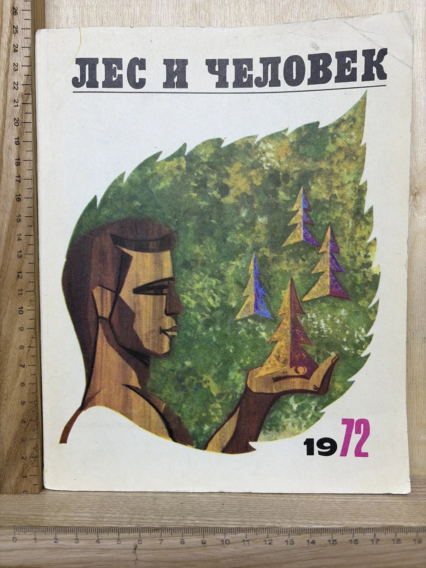 Лес и человек