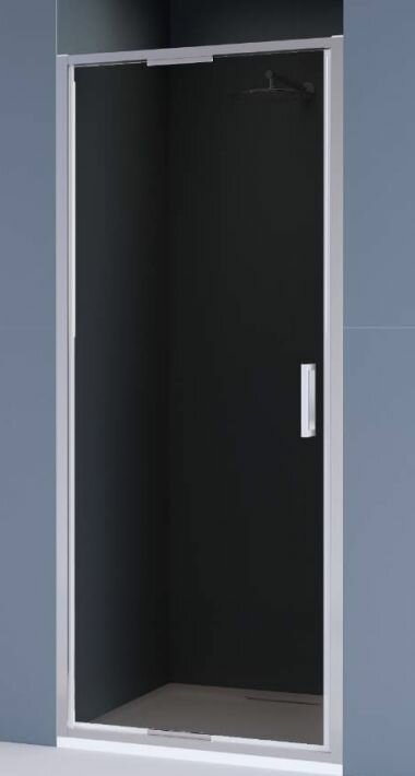 Дверь для душа RGW SV-05 распашная, 100см, профиль хром, стекло: тонированное 8мм