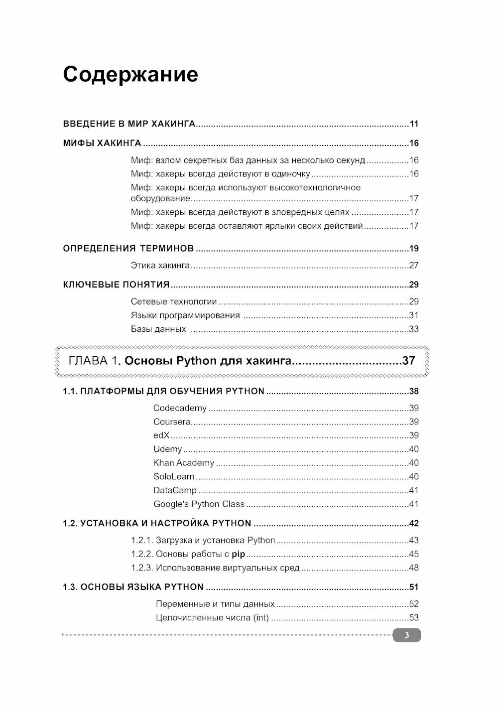 Хакинг на Python + виртуальный диск с кодом. Бухарев Р. С. Наука и техника — фото 1