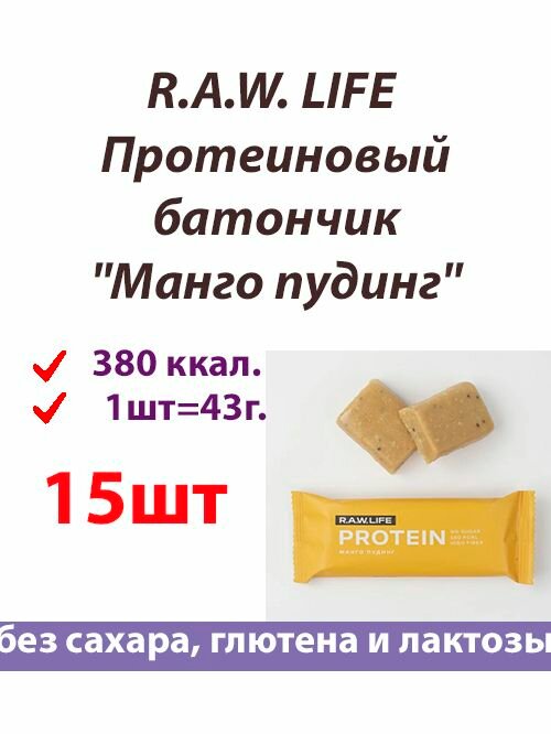 15шт Протеиновый батончик манго пудинг R.A.W. LIFE