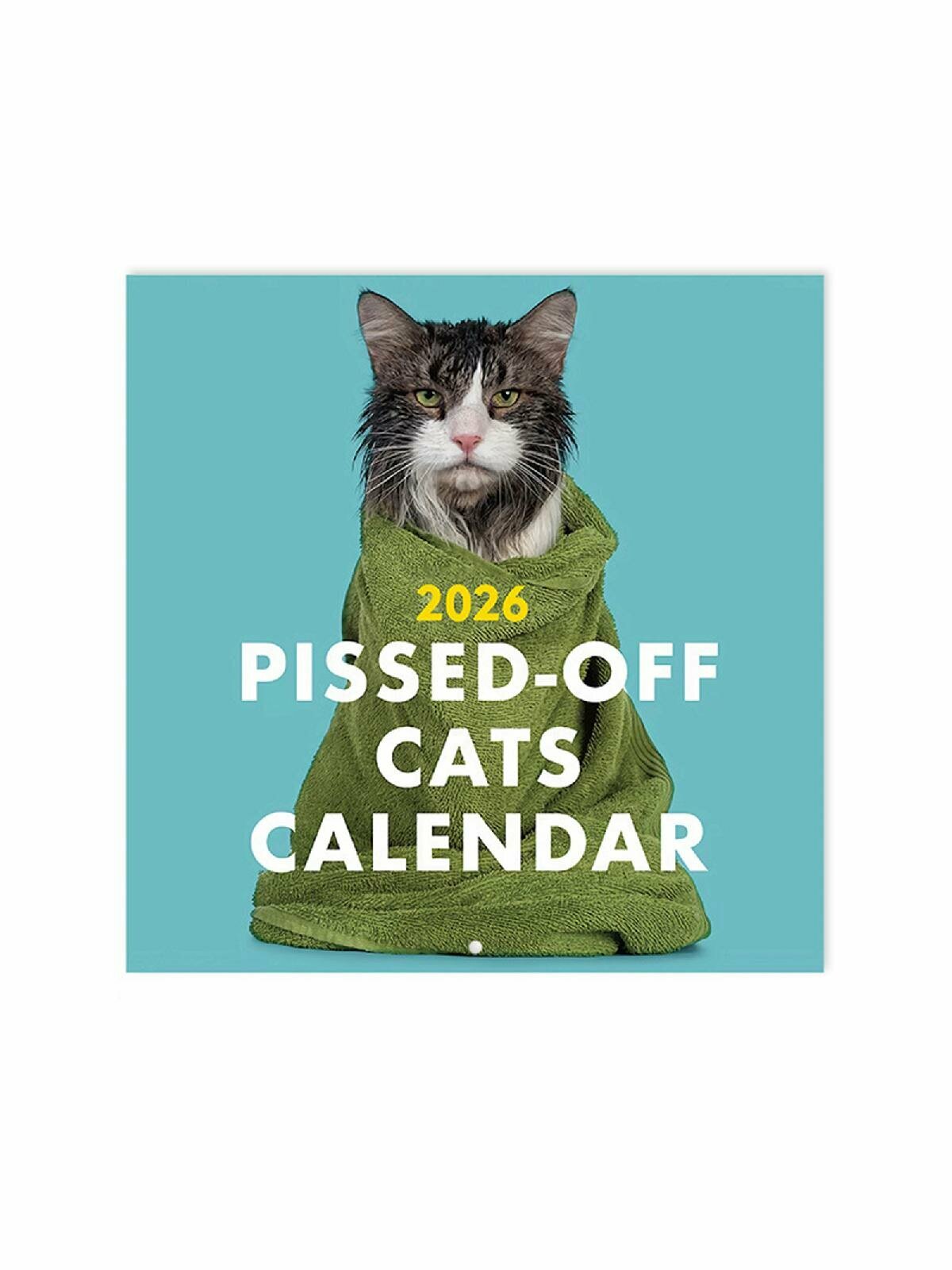 Настенный календарь на 2026 год с милыми картинками -Плакат из плотной бумаги для дома, офиса, кухни, класса и планирования подарков (1 шт.)