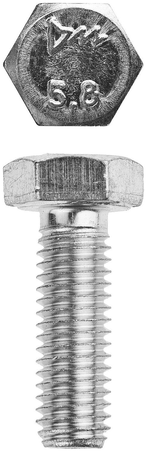 Болт ГОСТ 7798-70, M8 x 25 мм, 5 кг, кл. пр. 5.8, оцинкованный, ЗУБР