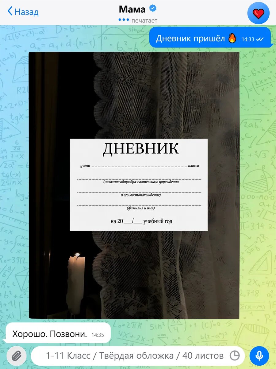 Школьный дневник с принтом y2k pinterest