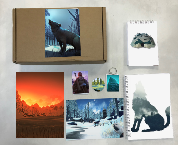 Бокс The Long Dark, Лонг Дарк №8, товары с нашими рандомными картинками