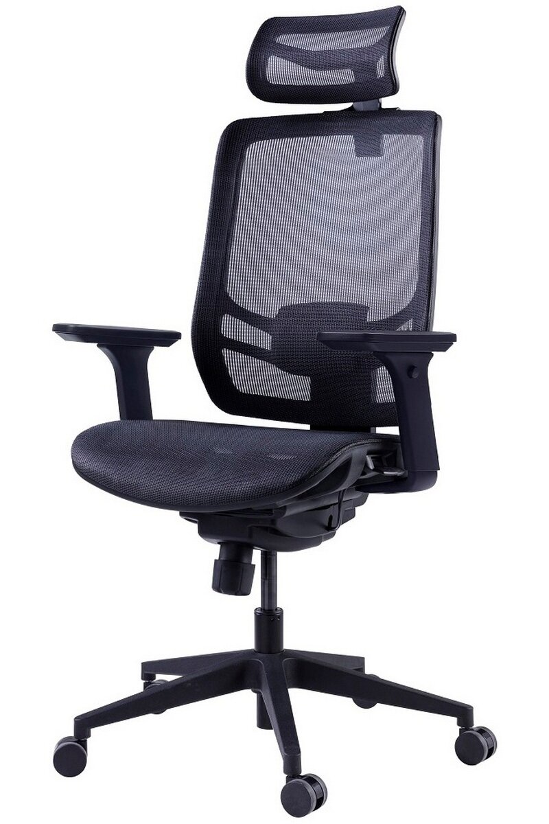 Премиум эргономичное кресло GT Chair InFlex M, черный