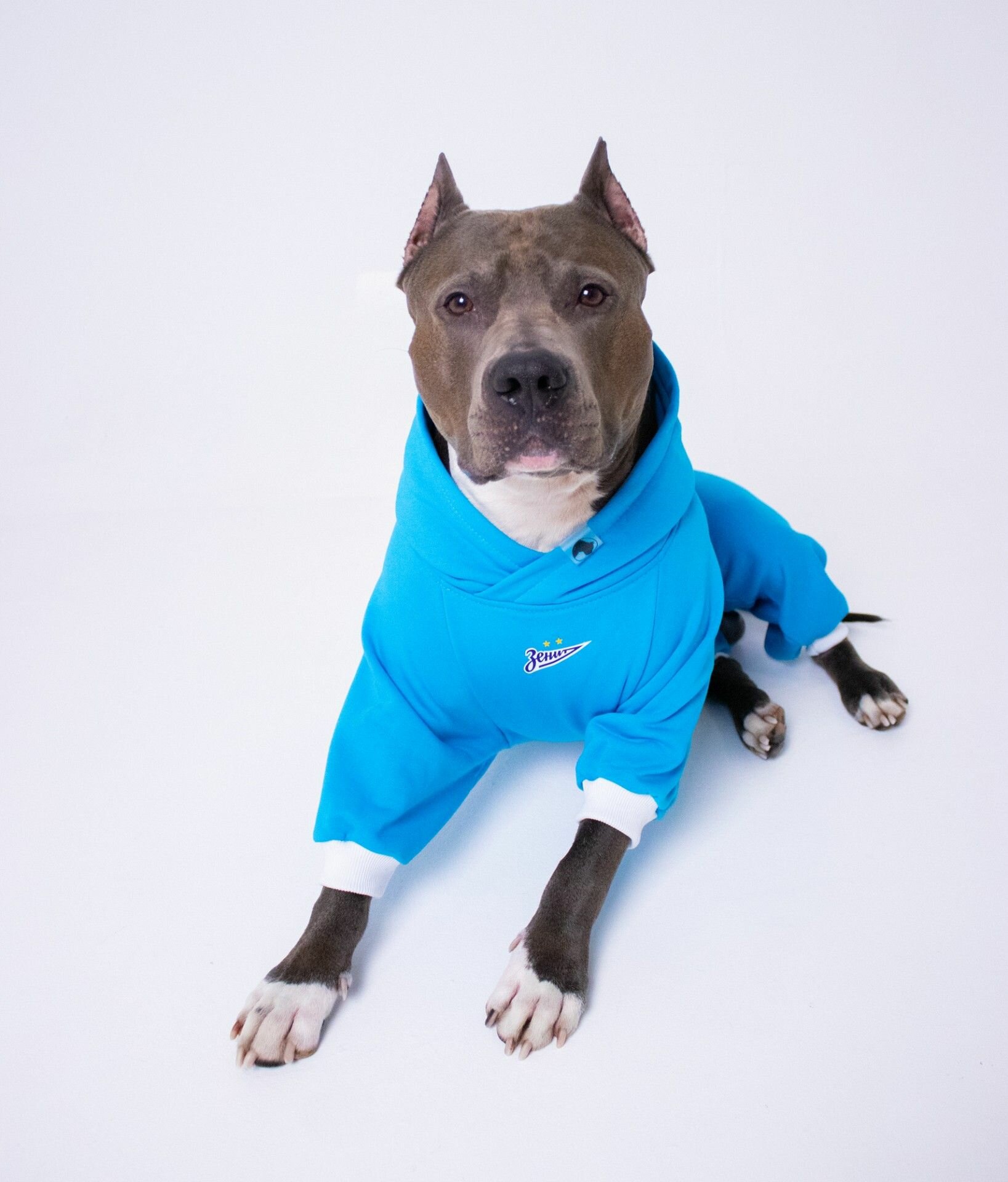 Комбинезон трикотажный для собак "Зенит"