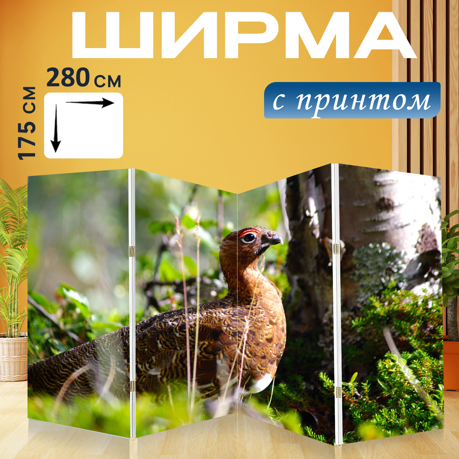 Ширма "Куропатка, летом, летние пружины" перегородка для зонирования комнаты с принтом 280x175 см. на холсте