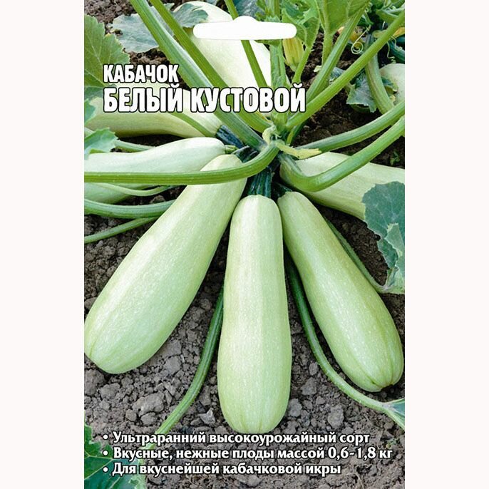 Кабачок Белый Кустовой, (1 уп: 20 семян)