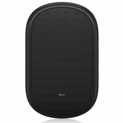 Акустика универсальная трансляционная Tannoy DVS 401