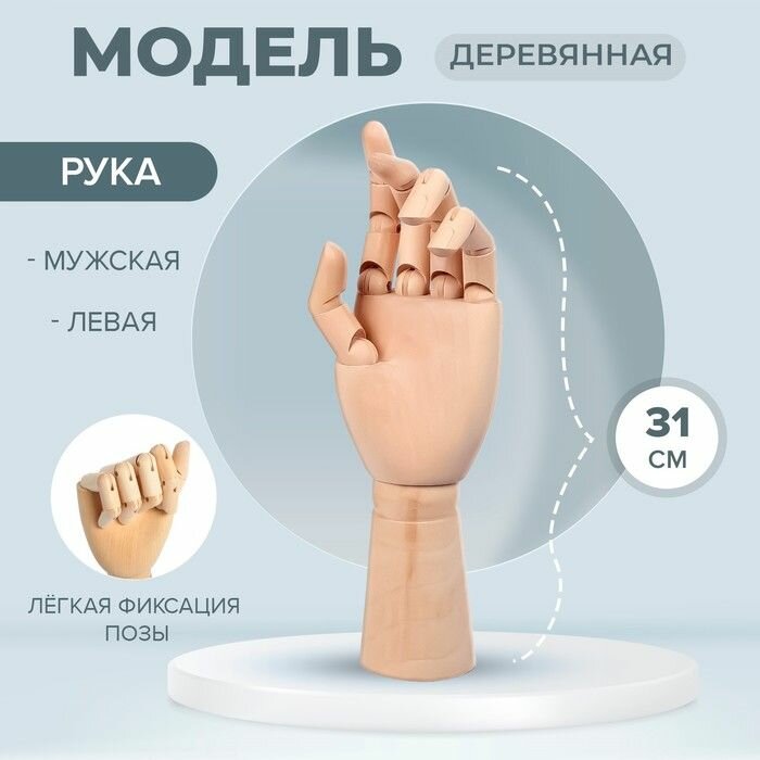 Модель руки Calligrata деревянная, мужская, левая, 31 см