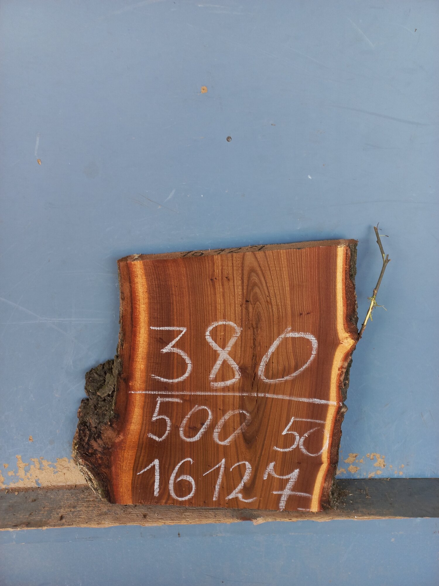 Слэб Доклес №16127 Карагач 5x38x50см, камерная сушка, для столешниц