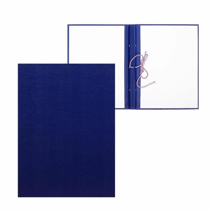 Папка для дипломных работ Calligrata Без надписи, бумвинил, гребешки, сутаж, без бумаги, синяя, до 300 листов (10ВР001ч)