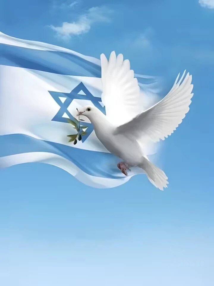 Алмазная мозаика на подрамнике "Голубь мира" круглые бриллианты 40х50см