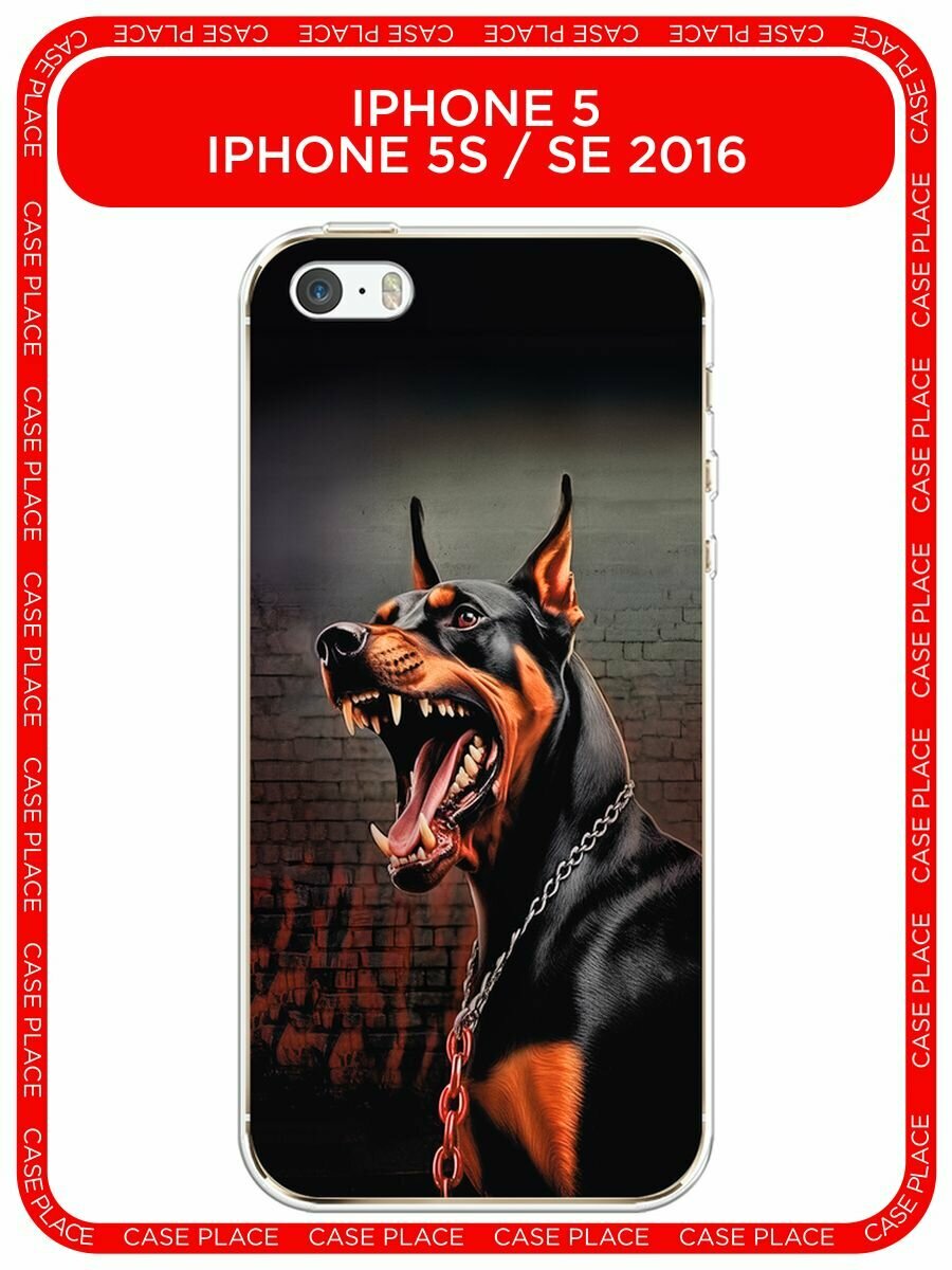 Чехол на Apple iPhone 5/5S/SE / Айфон 5/5S/SE с принтом "Доберман с цепью"
