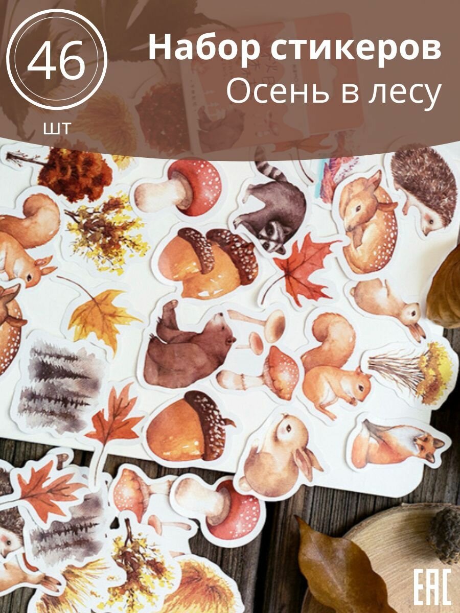 Набор стикеров "Осень в лесу", 46 шт. / Наклейки осень