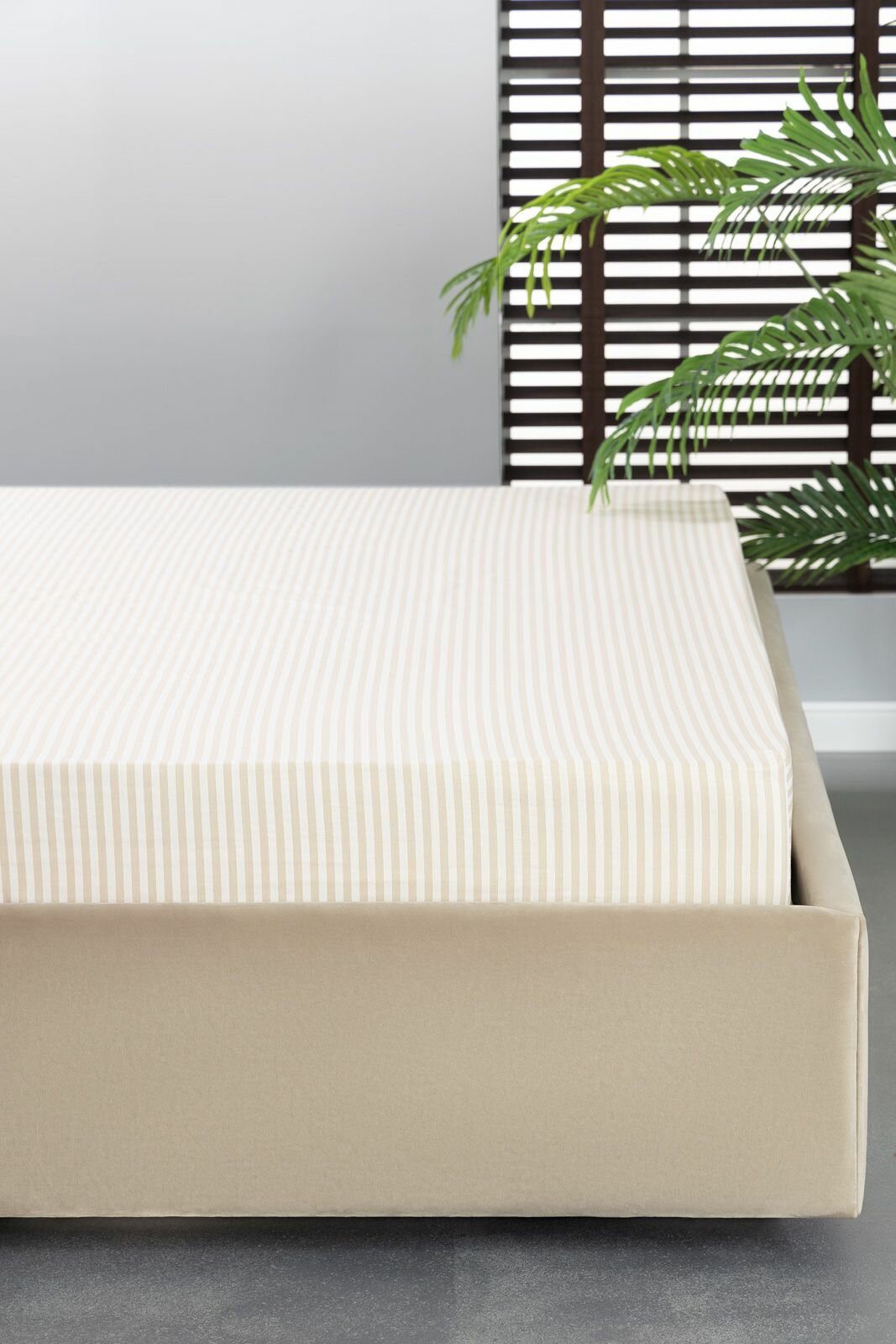 Medsleep Простыня стандартная, классическая Евро "Линдау" перкаль, хлопок, 220x240, светло-бежевая