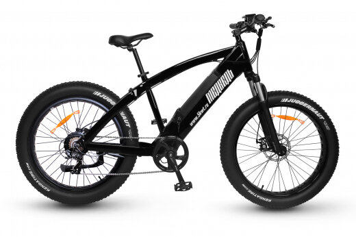 Электровелосипед, фэтбайк Медведь 2.0 HD 750