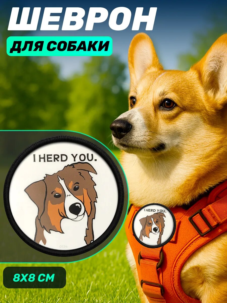 Шеврон на шлейку для собак Руками не трогать