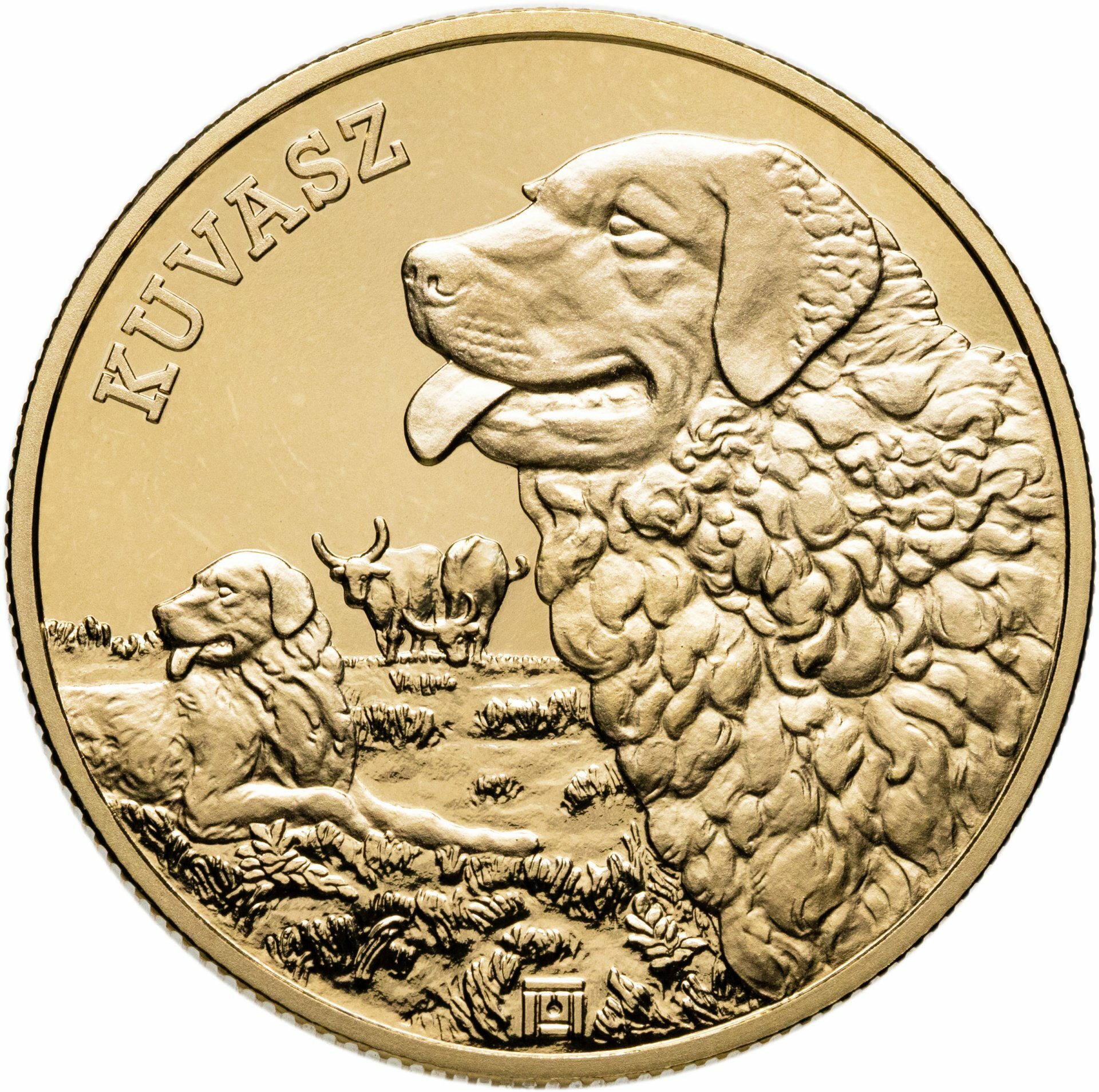 Венгрия 3000 форинтов 2025 "Собака венгерский кувас", Латунь, в сохранности UNC
