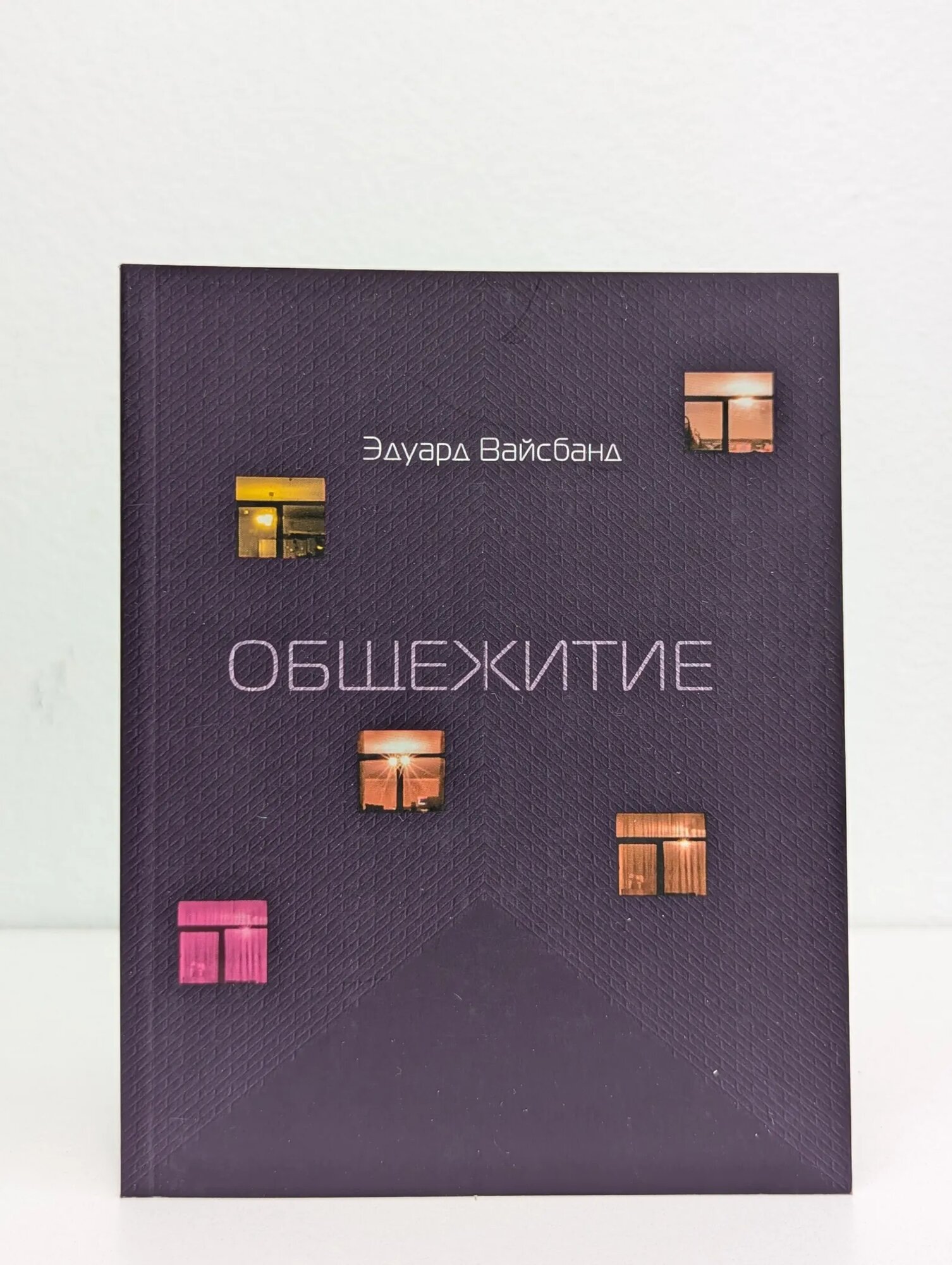 Общежитие. Стихотворения 2003–2004 гг. Вайсбанд Эдуард 2015