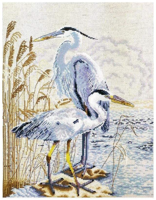 Цапли 03.010.22