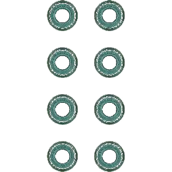 REINZ 12-26058-02 (0271096758X / 0956198X / 0956248X) комплект маслосъемных колпачков комплект 8шт VW Golf (Гольф)