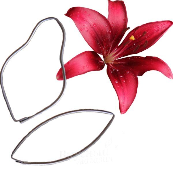 Каттер цветочный набор Лилии лепестки S, ct-49 (Набор из 3 шт.)