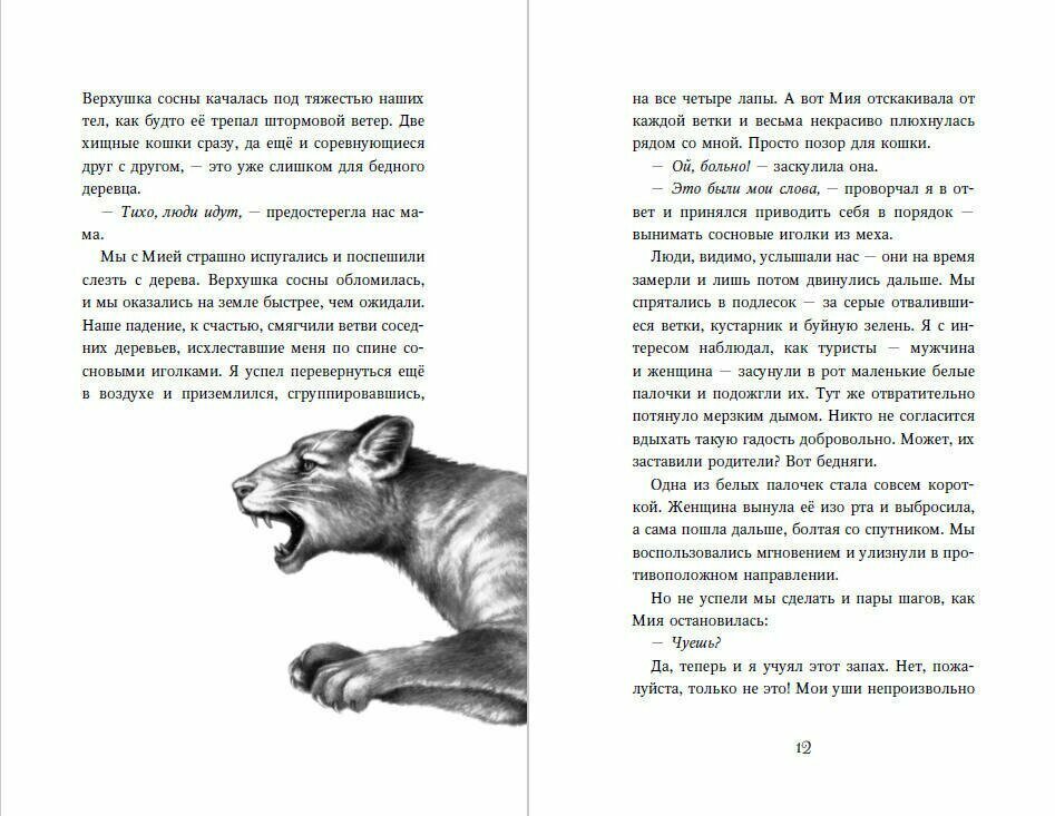 Дети леса. День огня (#6) — фото 1