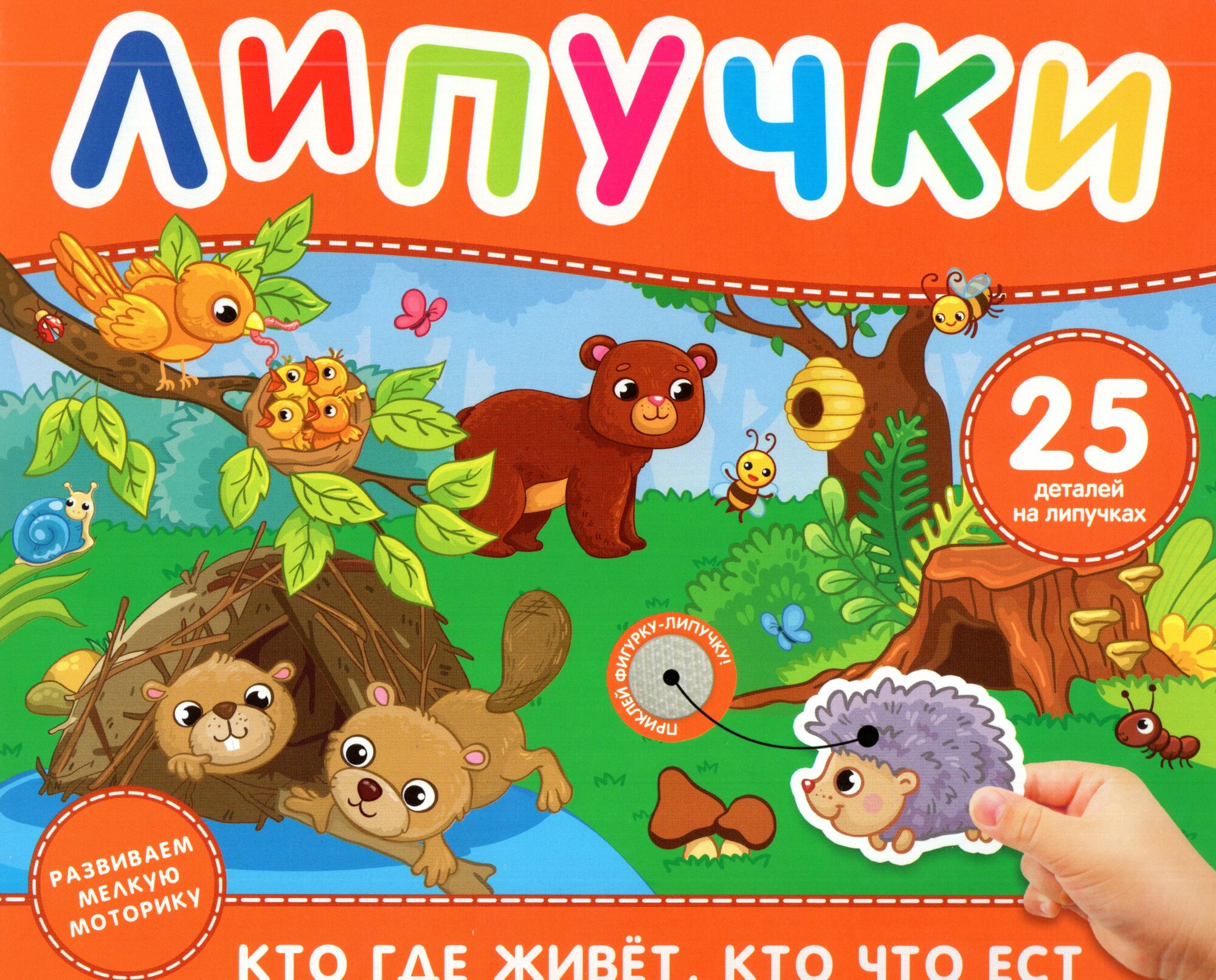 Кто где живет, кто что ест. Книга с липучками / Автор не указан