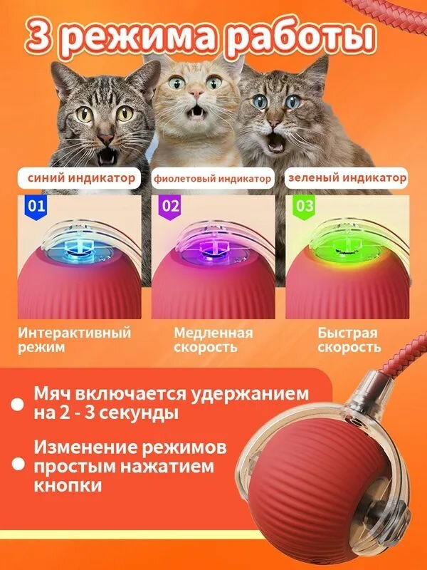 Игрушка для животных Amefa — фото 1