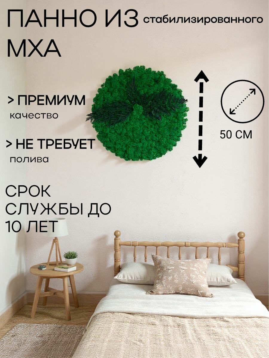 Панно круглое из стабилизированного мха, диаметр 50 см, ручная работа
