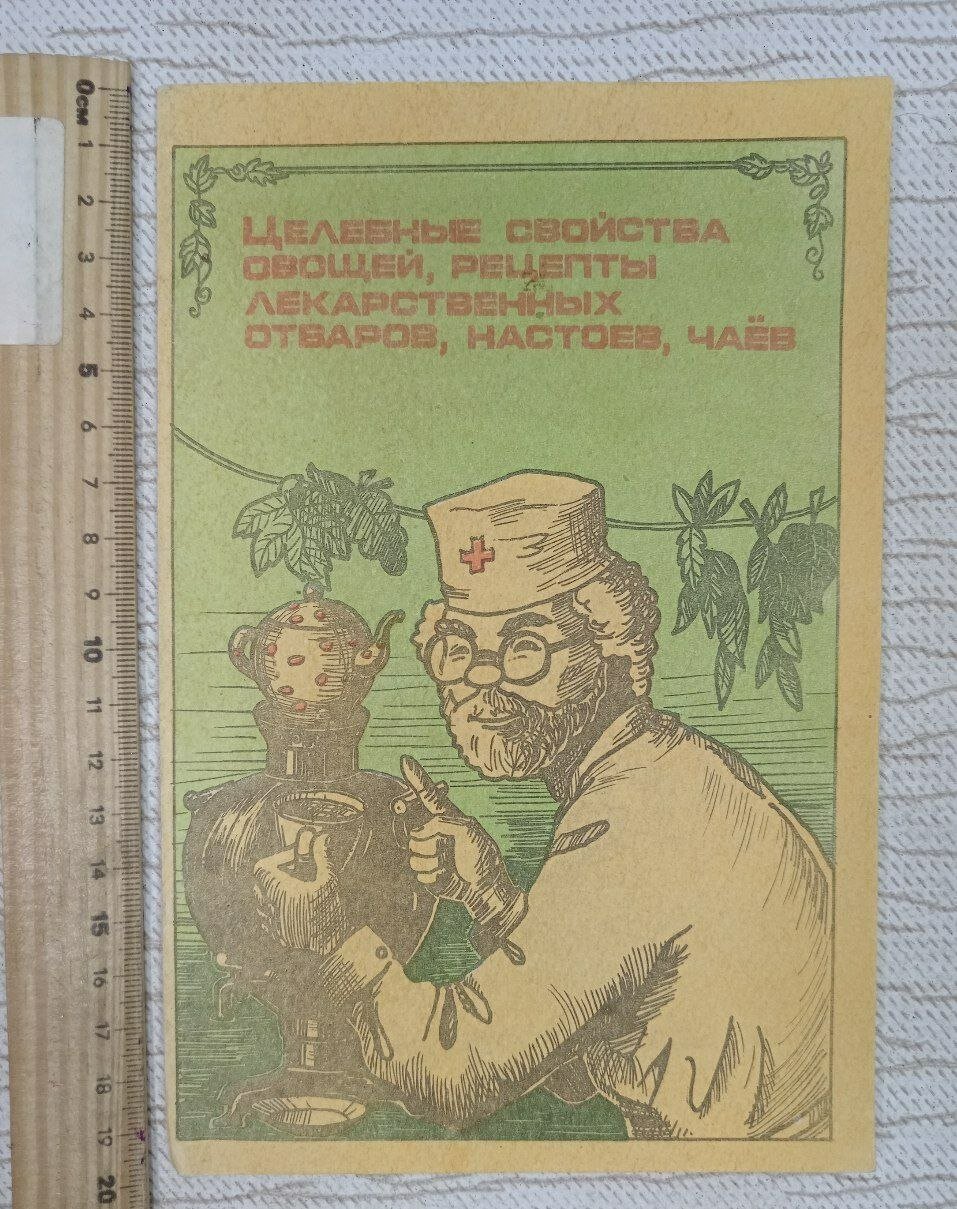 Целебные свойства овощей, рецепты лекарственных отваров, настоев, чаев