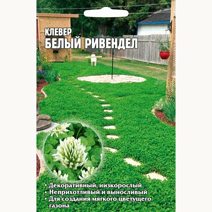 Клевер Белый Ривендел, 20 гр