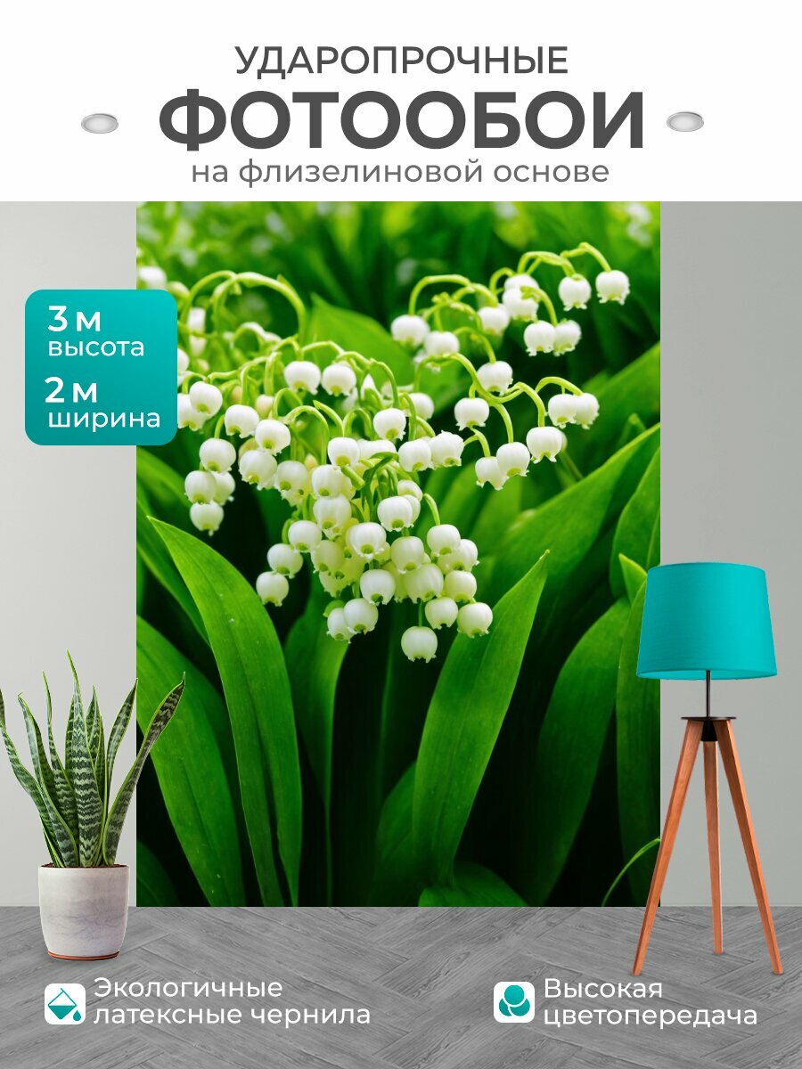 Фотообои моющиеся ударопрочные на кухню "С изображением весенних ландышей и зелени" 200x300 см. флизелиновые на стену