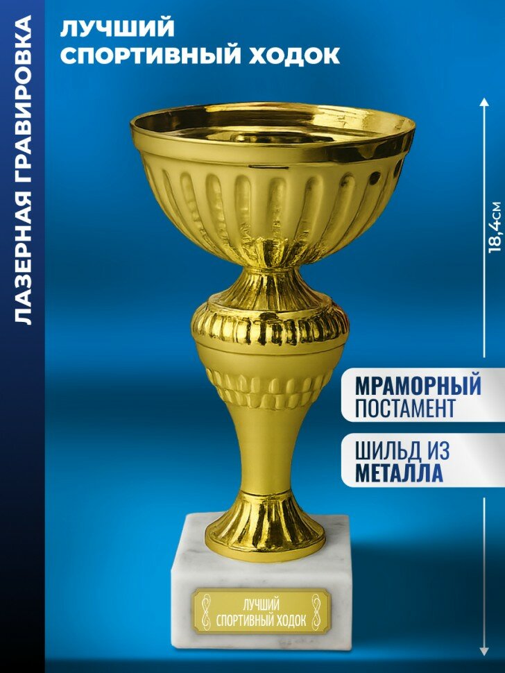 Кубок "Лучший спортивный ходок "