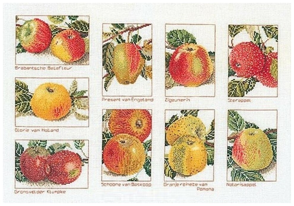 Набор для вышивания Thea Gouverneur #2082 Apples (Яблоки), Счетный крест, 45 x 31 см