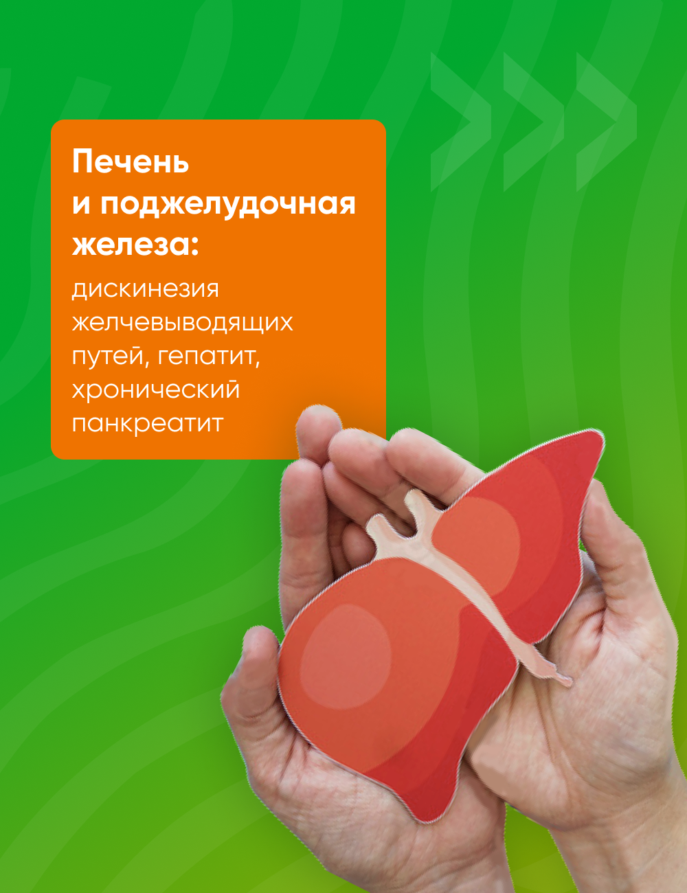 Комплекс пищеварительных ферментов Инкода (Incoda) растительный для восстановления микрофлоры кишечника. Сделано в США — фото 1