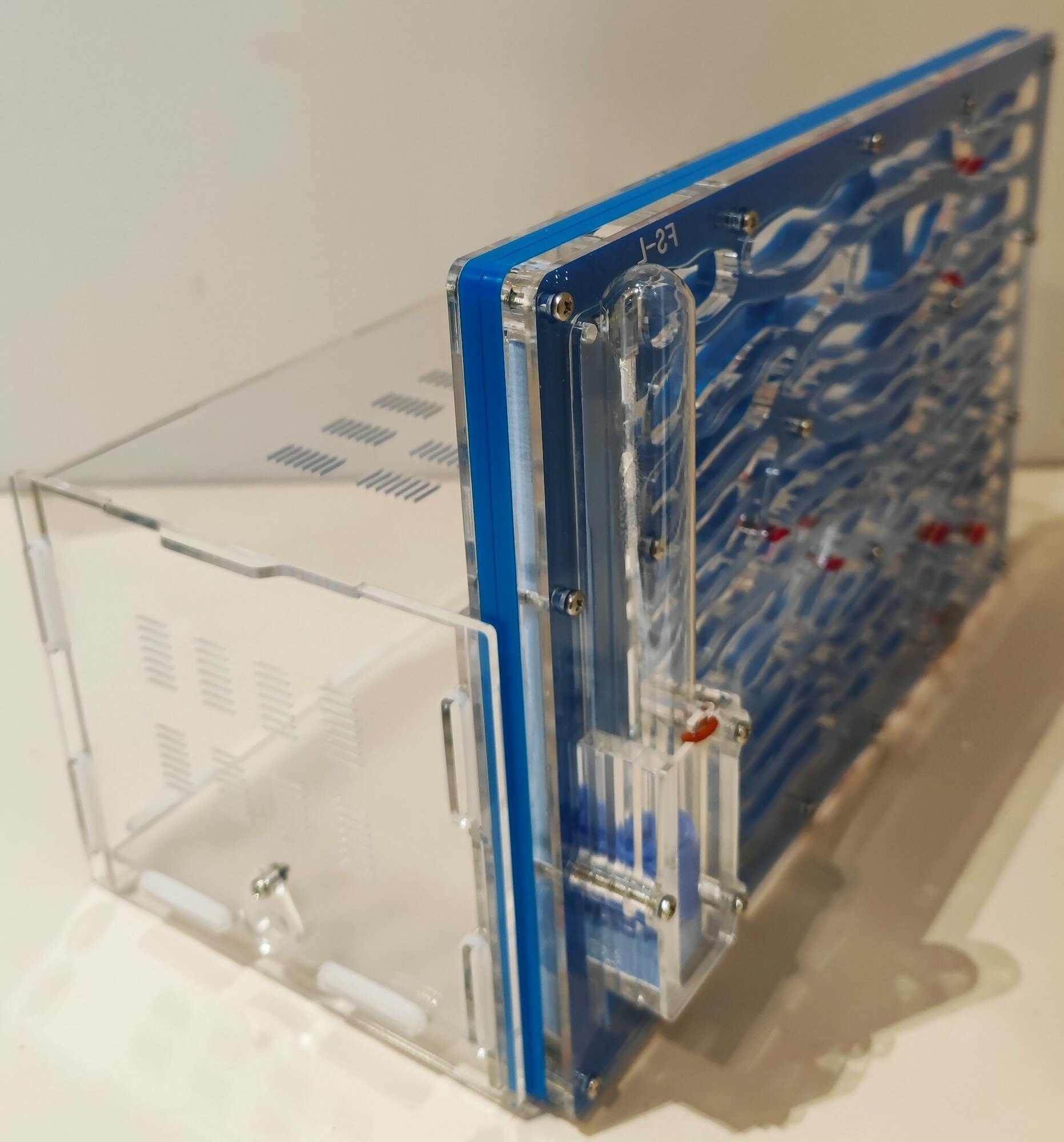 Муравьиная ферма Ant Castle Bionic Emporio FS-L Antlife.r в собранном виде + антипобег. Колония муравьёв M. Structor - в подарок!